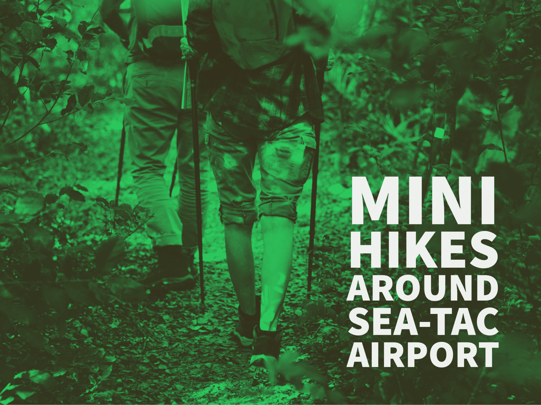 Cannabis Store | Marijuana Dispensary near Sea-Tac Airport