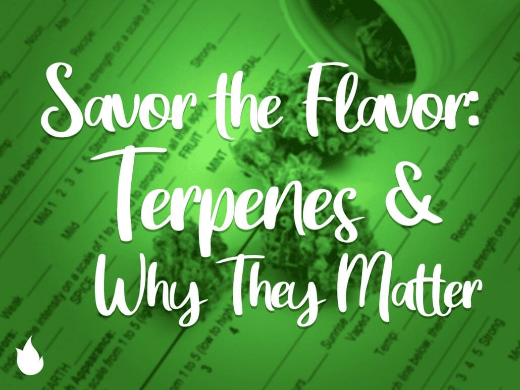 TERPENES: Savor The Flavor and Benefits | Kush21