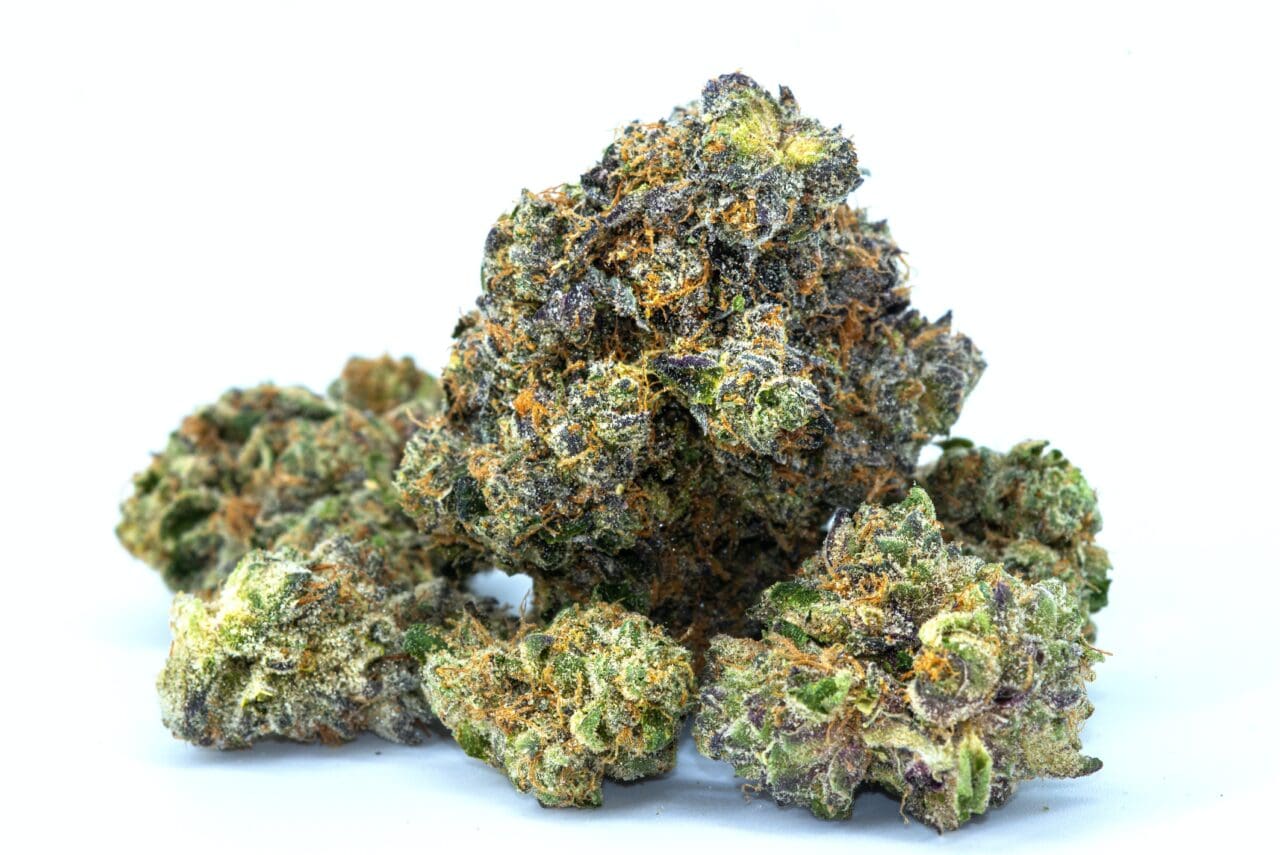 New Strain Alert: Rainbow Runtz! | Kush21