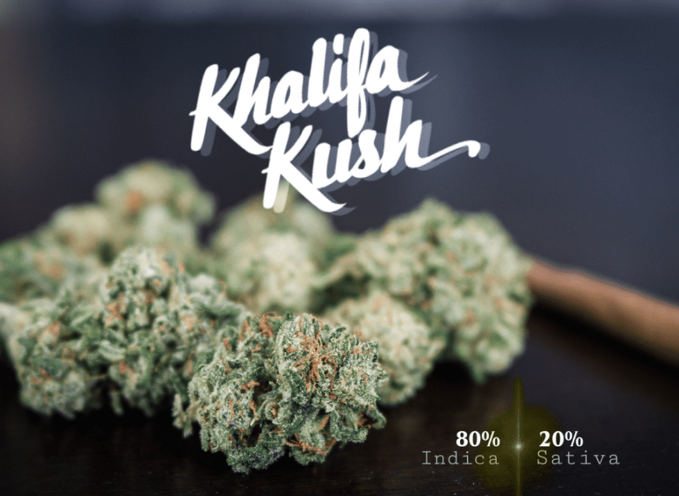 Khalifa Kush: A Potent Hybrid That Sparks Nostalgia | Kush21